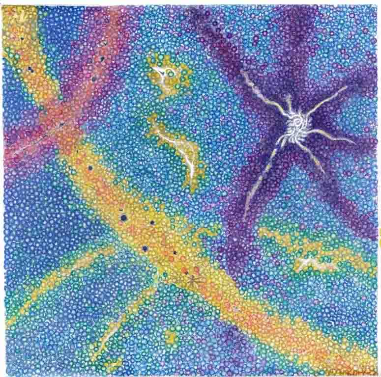 OAHSPE Standard Edition